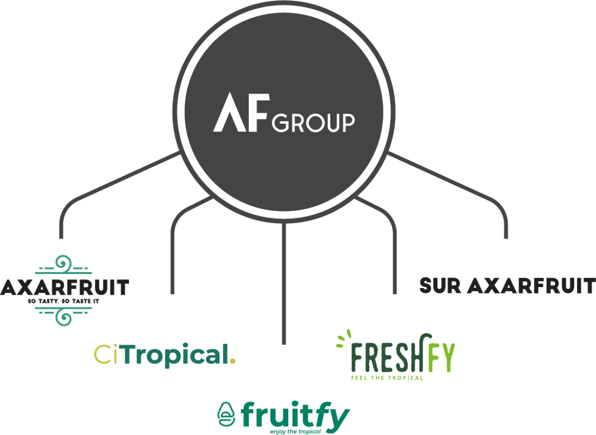 AF GROUP - AF-GROUP