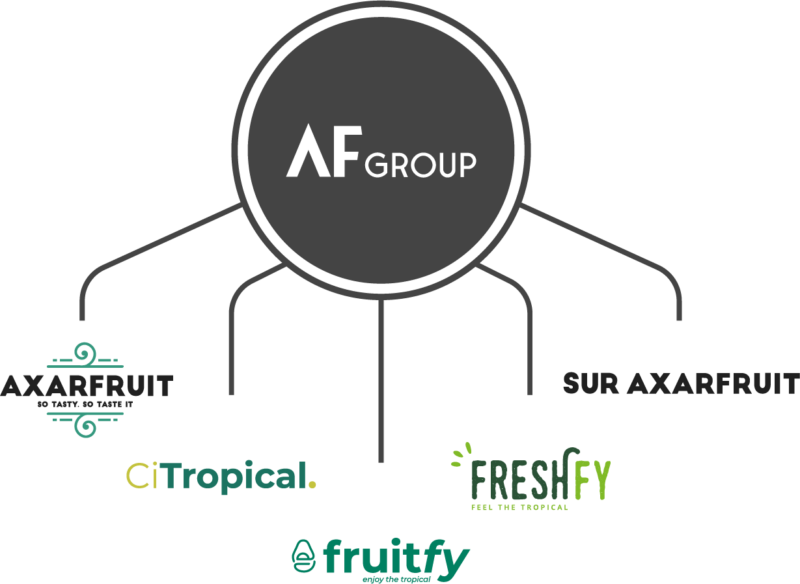 AF GROUP - AF-GROUP